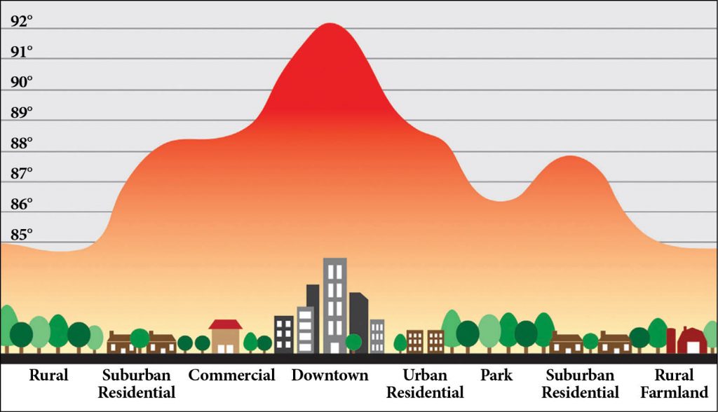 Heat Islands Hitting Lower Income, Minority Neighborhoods – The Chief ...